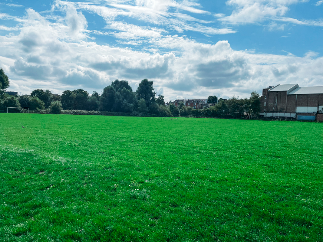 Grass Field - Schools Plus at Laurel Park School